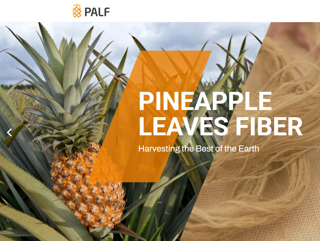 Turning Waste into Worth: The Sustainable Power of Pineapple Leaf Fiber ...